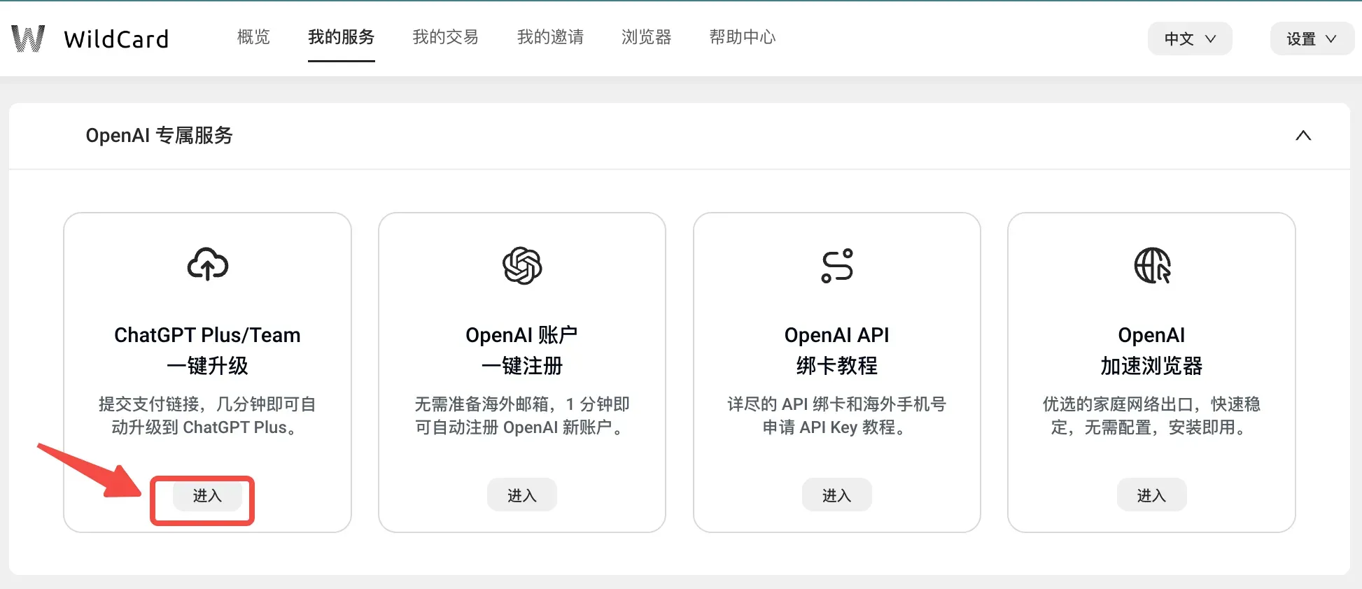 wildcard虚拟信用卡平台详解，订阅ChatGPT等海外软件常见问题详及其解决方案解 | ChatGPT指南
